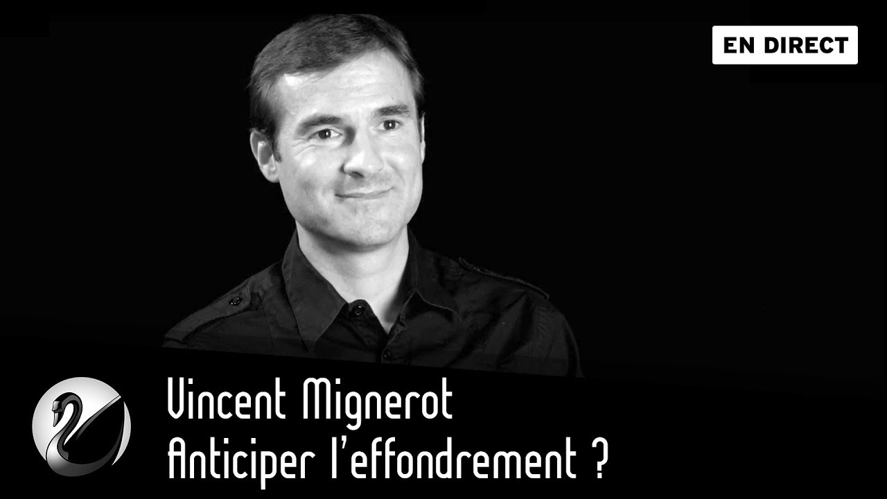 Interview Thinkerview :Anticiper l'effondrement ? - Vincent Mignerot